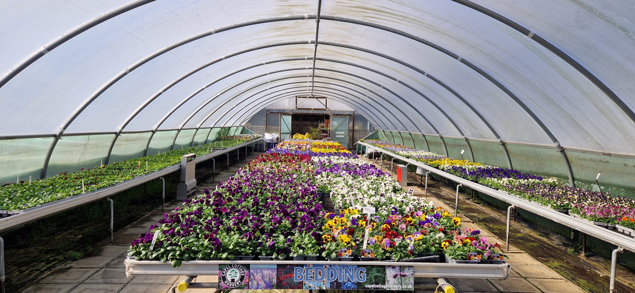 Welcome - Capel Cottage Nursery